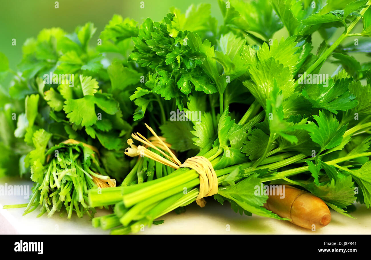 spice, herb, celery, ingredient, arm, weapon, knive, knife, sellery ...