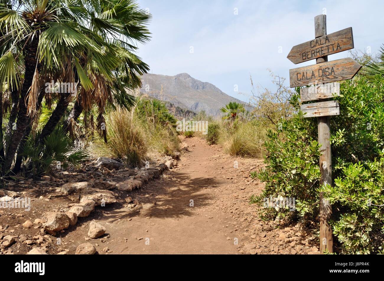 stone, signposts, palm tree, signpost, path, way, mountain, scenery ...