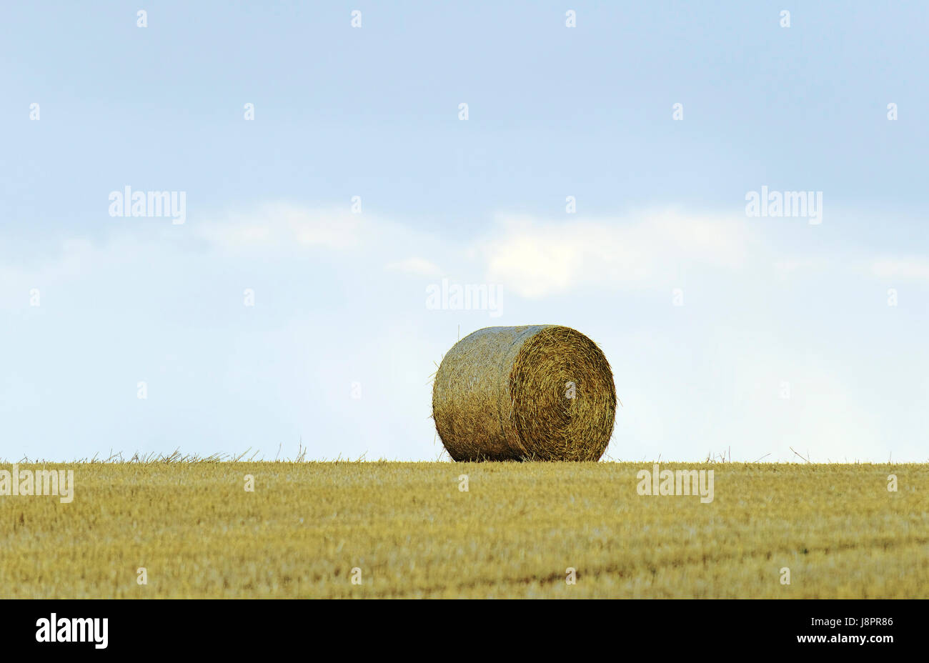 fodder, agriculture, farming, field, harvest, scenery, countryside ...