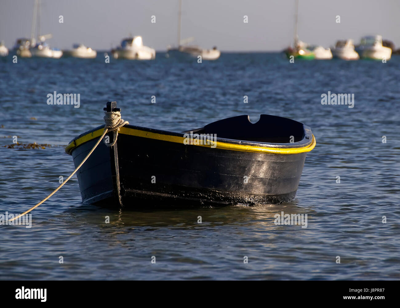 boat, salt water, sea, ocean, water, rowing boat, sailing boat ...