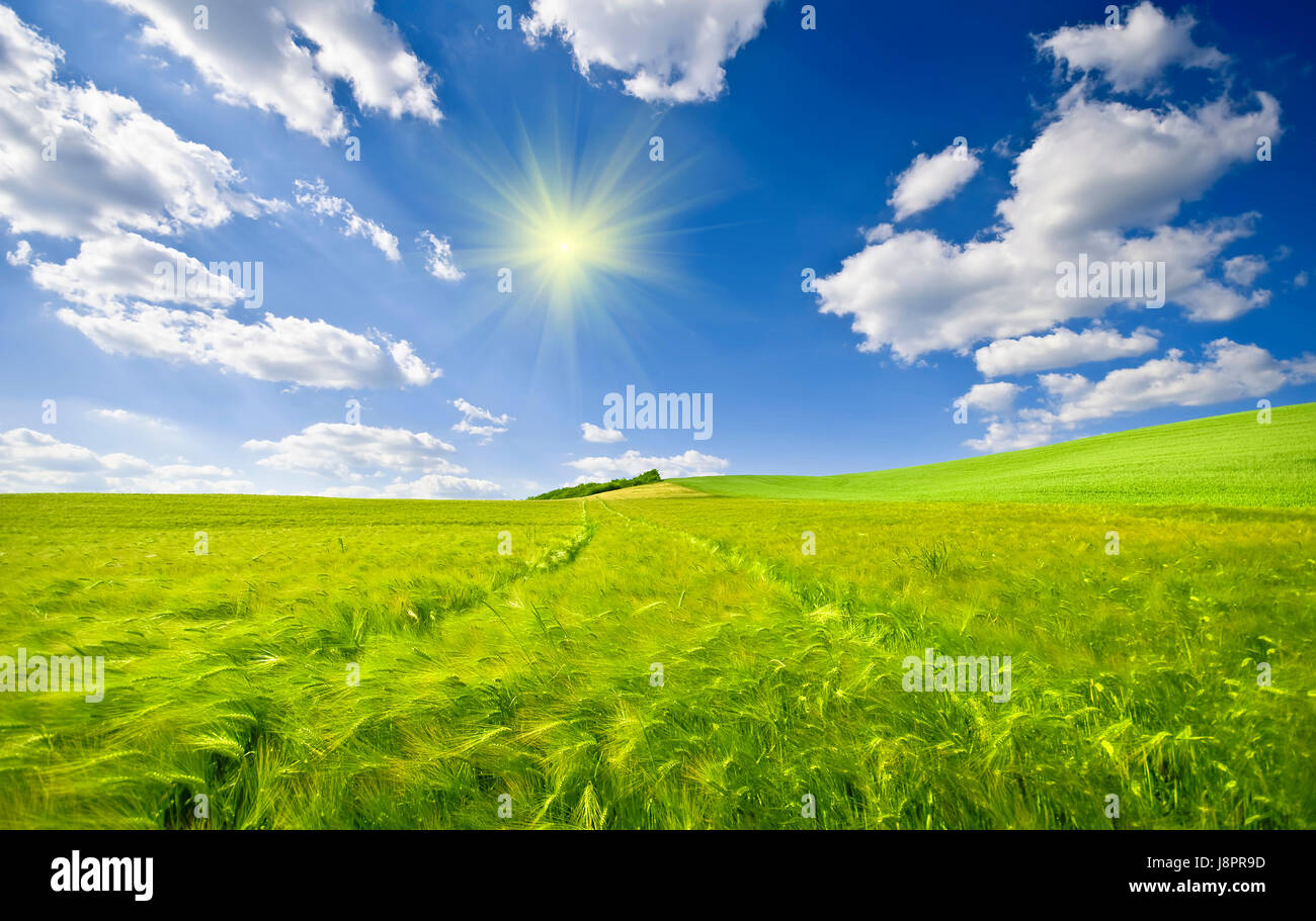 sunlight, country, landscape, scenery, countryside, nature, scenic ...