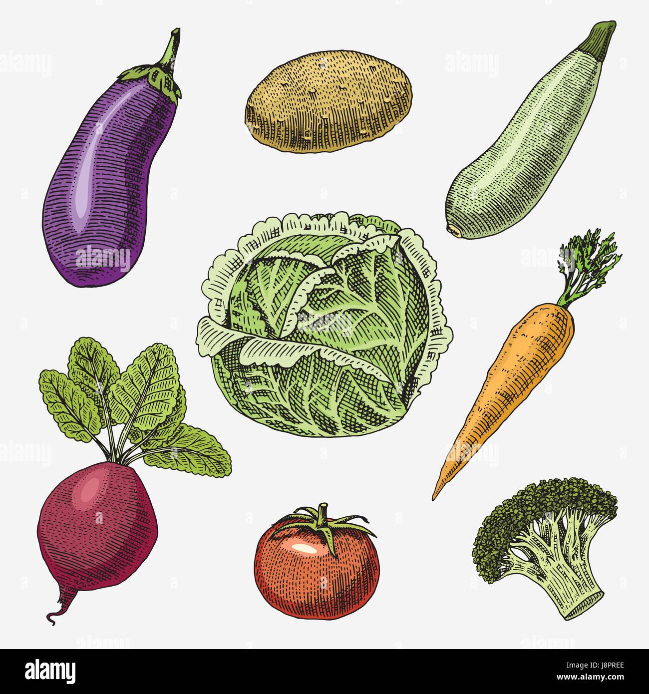 set of hand drawn, engraved vegetables, vegetarian food, plants ...