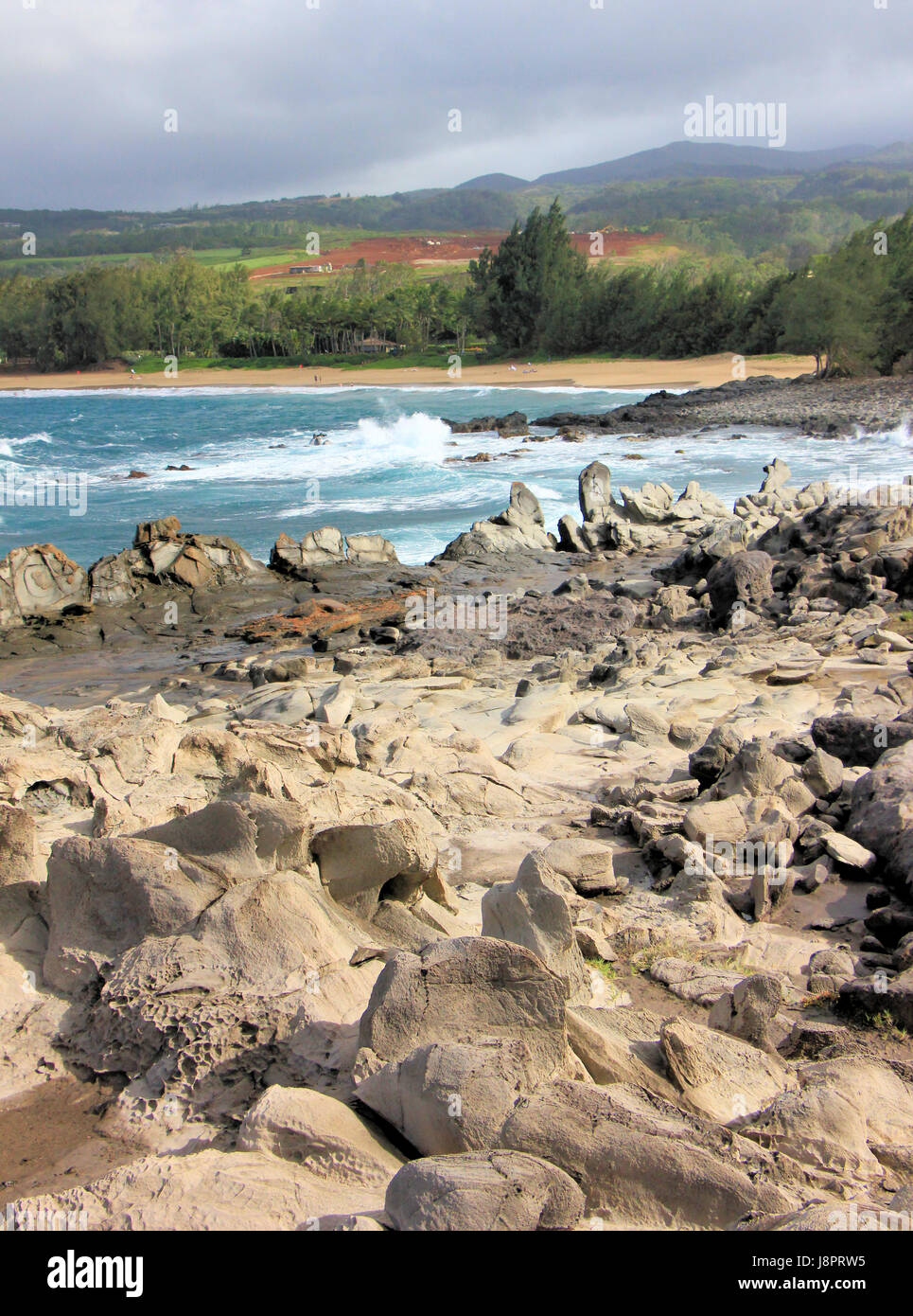 Dragons teeth rock formation on shore of Honokahua Bay, Maui, Hawaiian ...