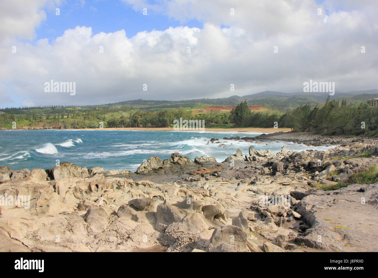 Dragons teeth rock formation on shore of Honokahua Bay, Maui, Hawaiian ...