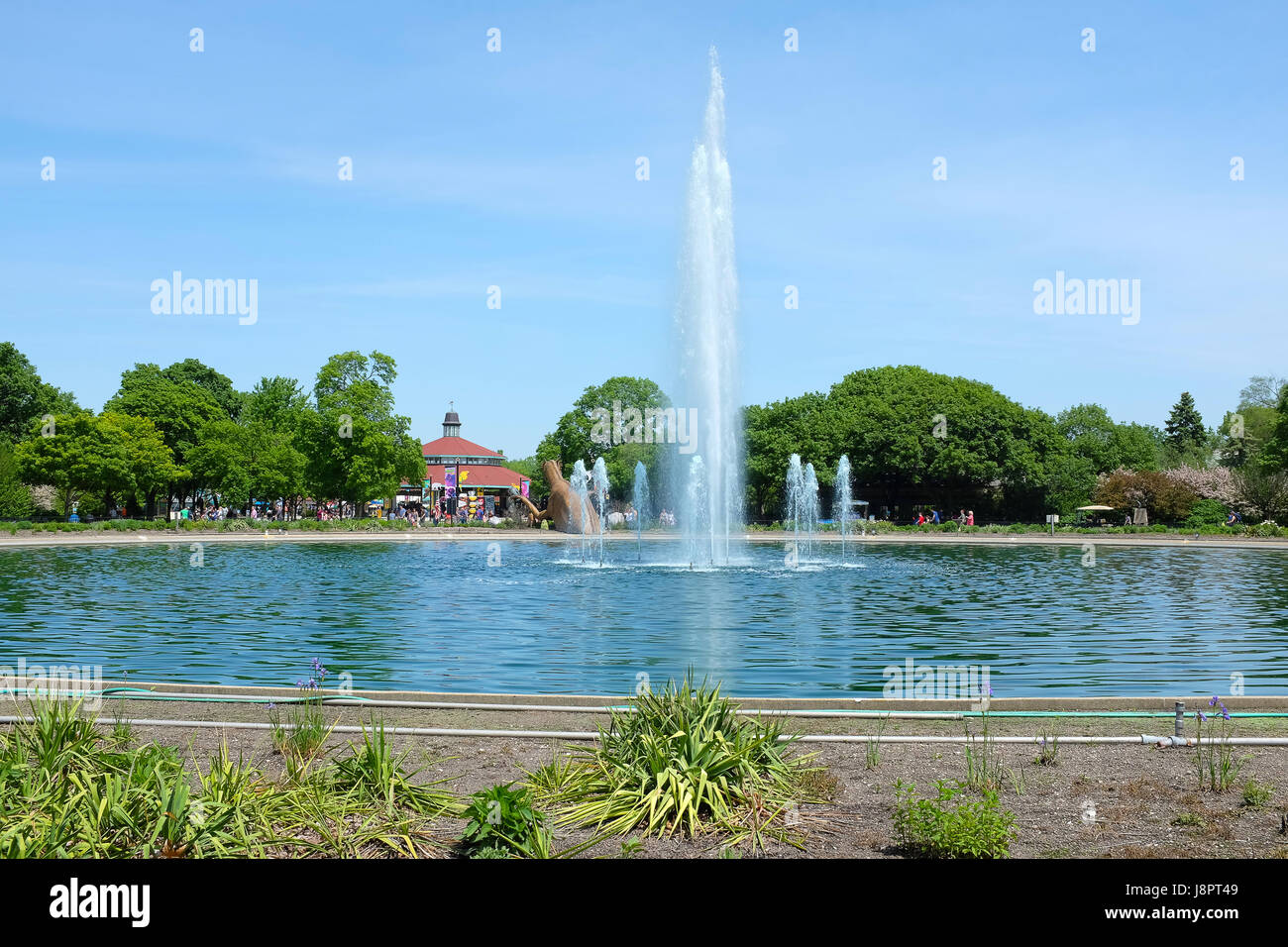 Zoo carousel hi-res stock photography and images - Alamy