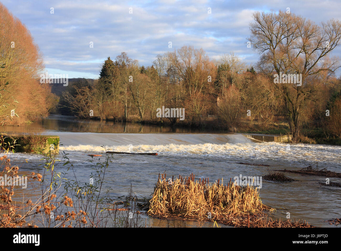 tree, trees, weir, lorraine, scenery, countryside, nature, river, water ...