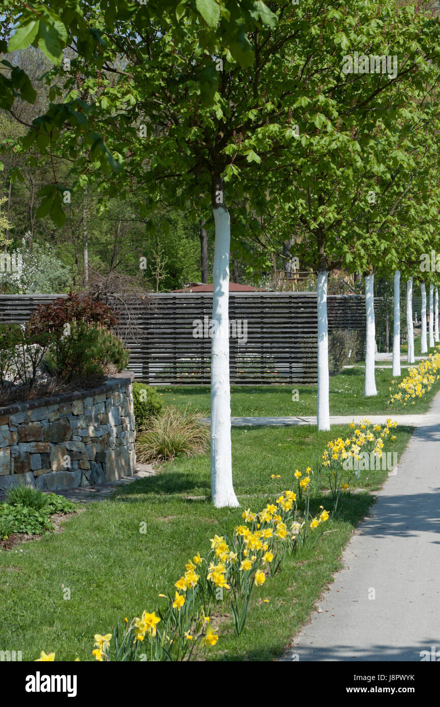 tree, park, garden, spring, public garden, gardens, season, garden-path ...