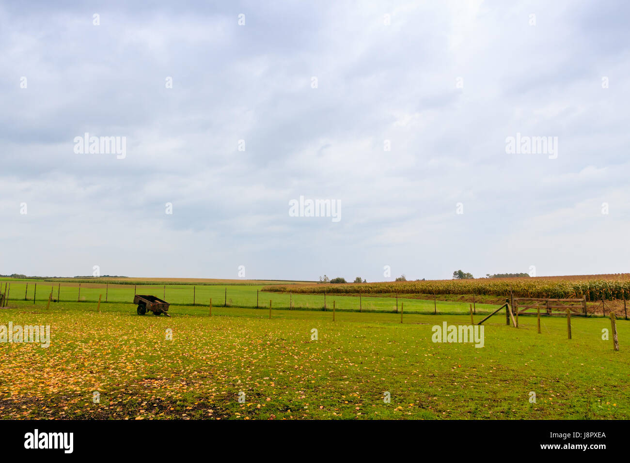 Flanders countryside hi-res stock photography and images - Alamy