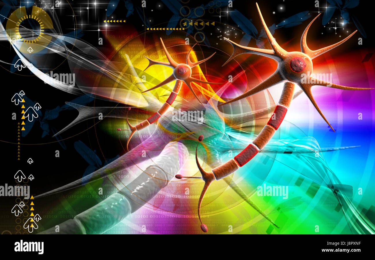 education, medicinally, medical, graphics, colour, science ...