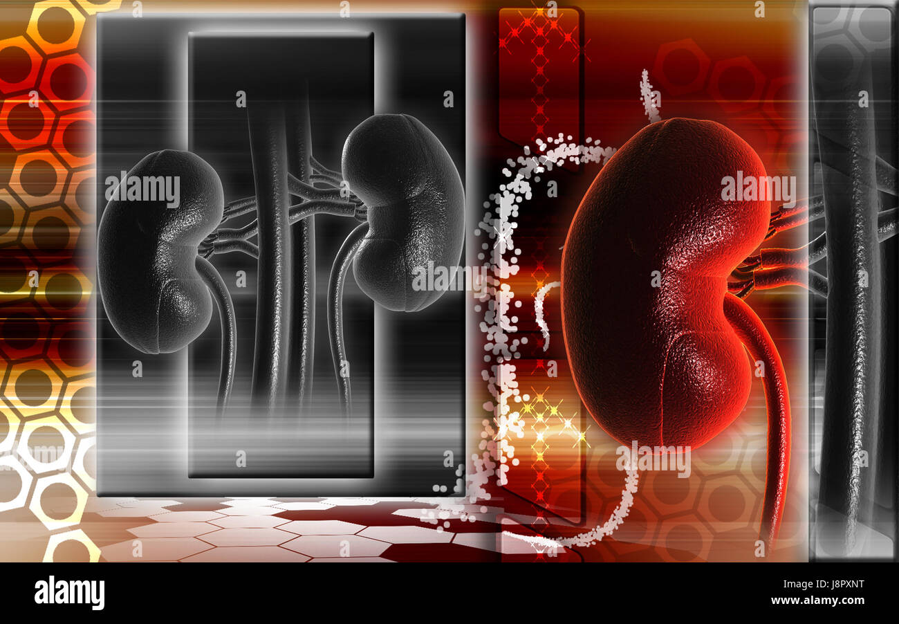 object, education, health, medicinally, medical, graphics, colour ...