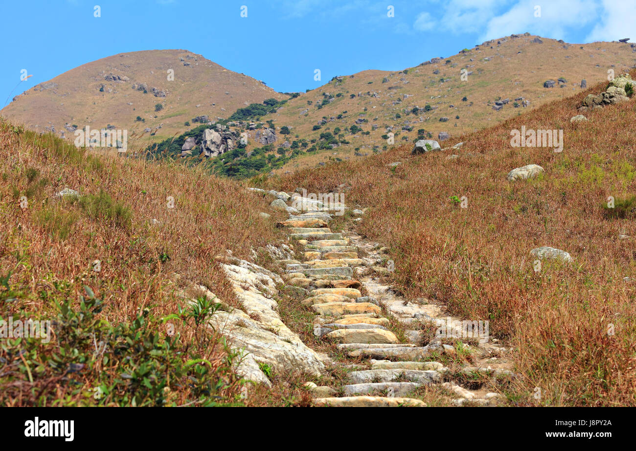 walk, go, going, walking, travel, hill, horizon, field, hike, go hiking ...