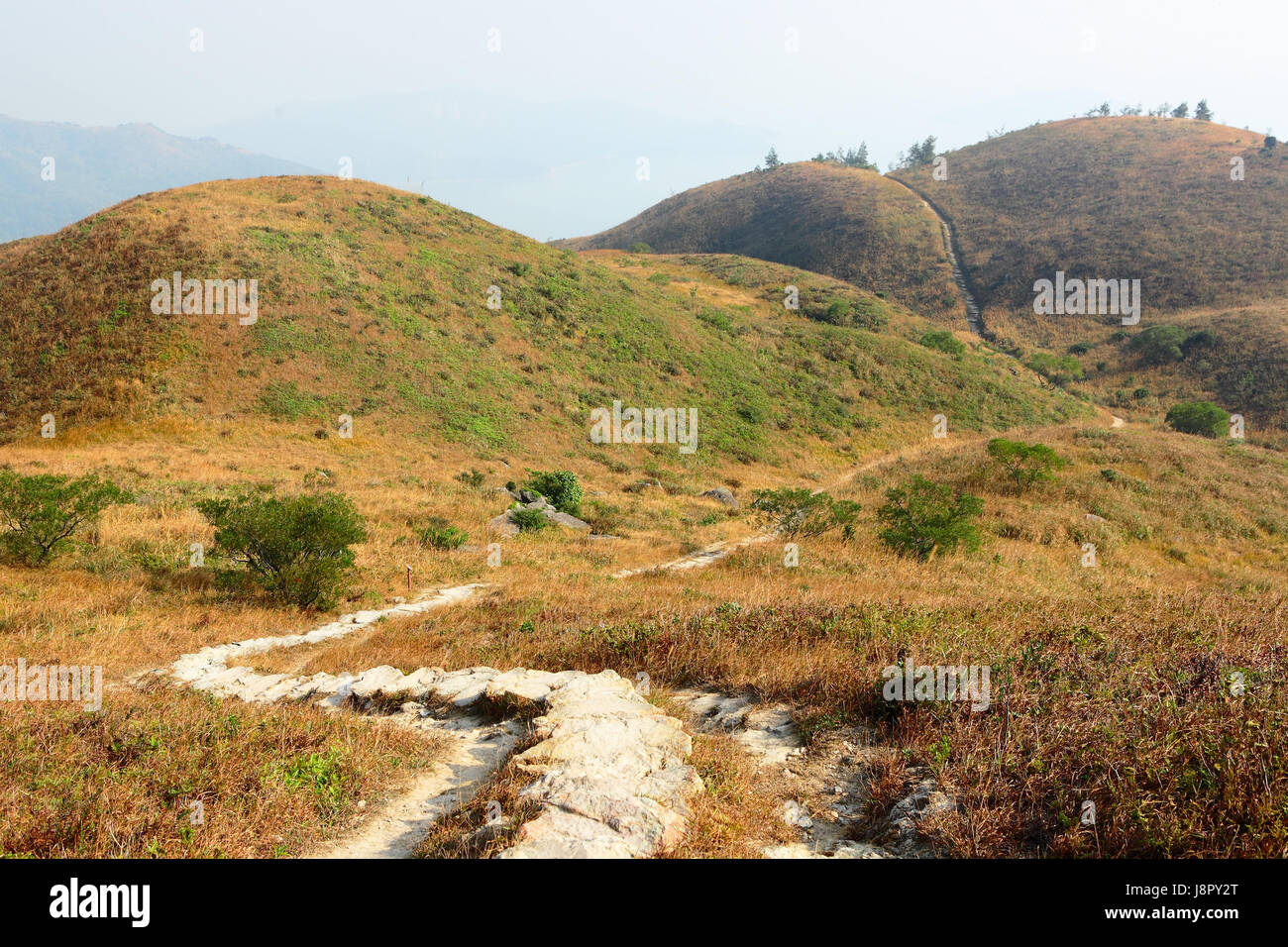 walk, go, going, walking, travel, hill, horizon, field, hike, go hiking ...