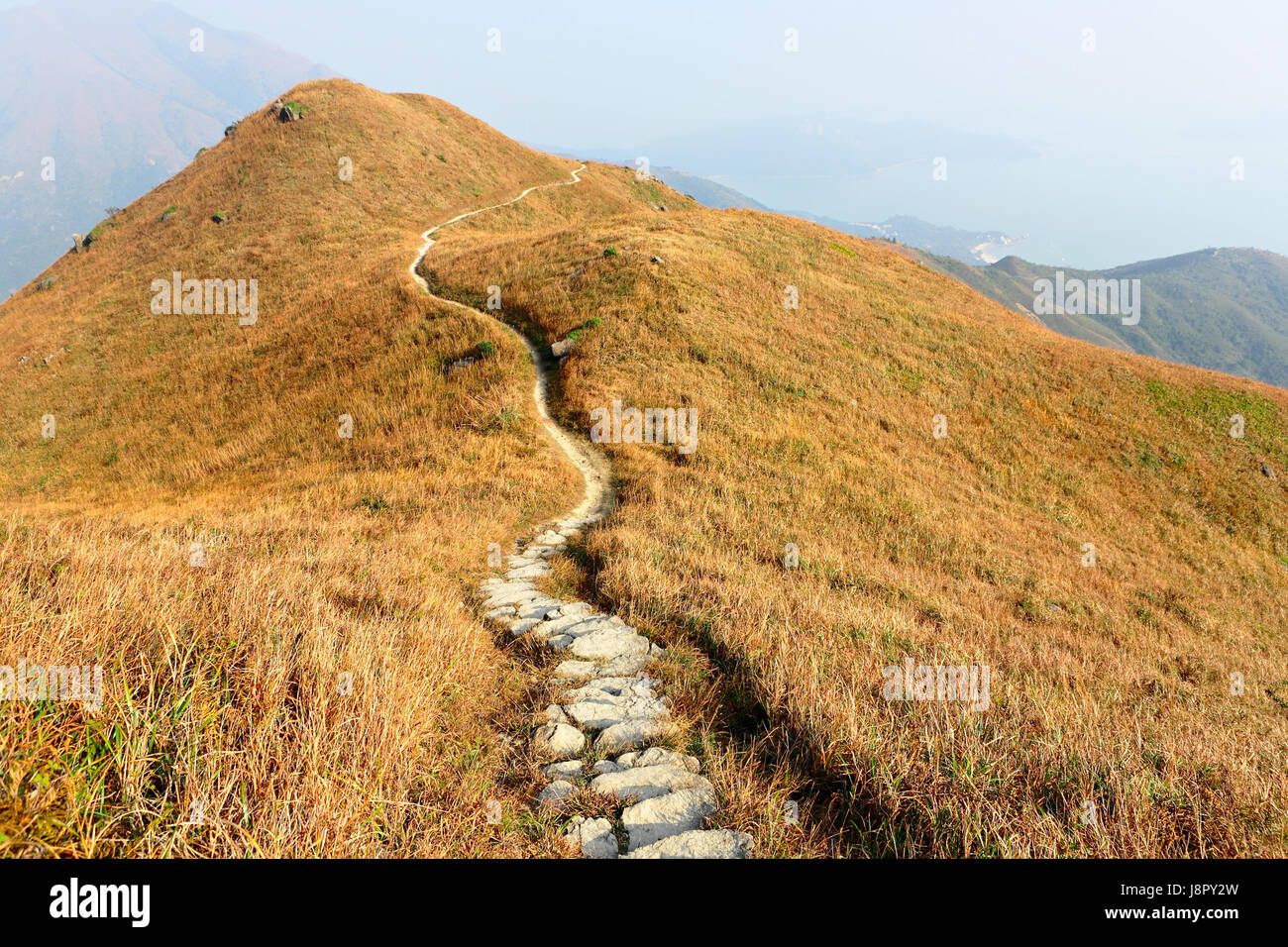 walk, go, going, walking, travel, hill, horizon, field, hike, go hiking ...