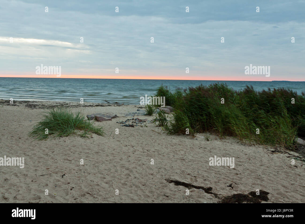 coast, early, salt water, sea, ocean, water, scenery, countryside ...