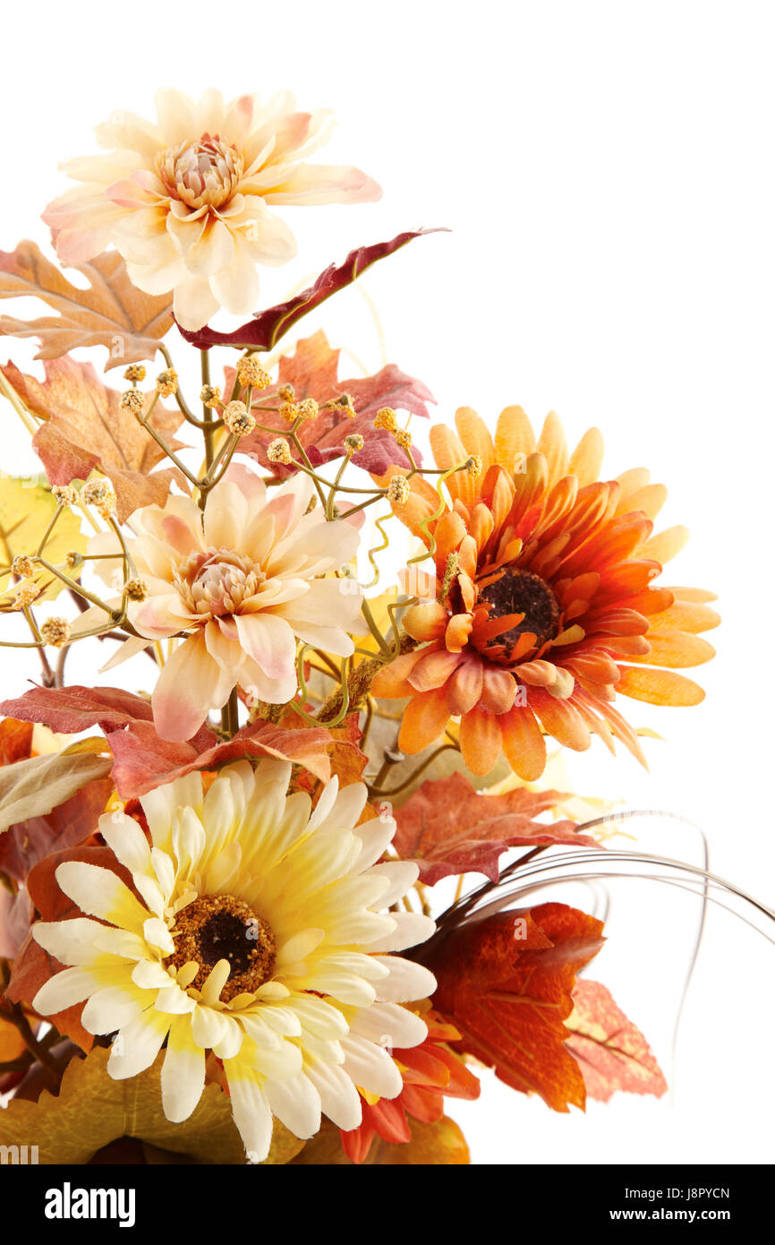 object, isolated, flower, flowers, plant, decoration, kitsch, still ...