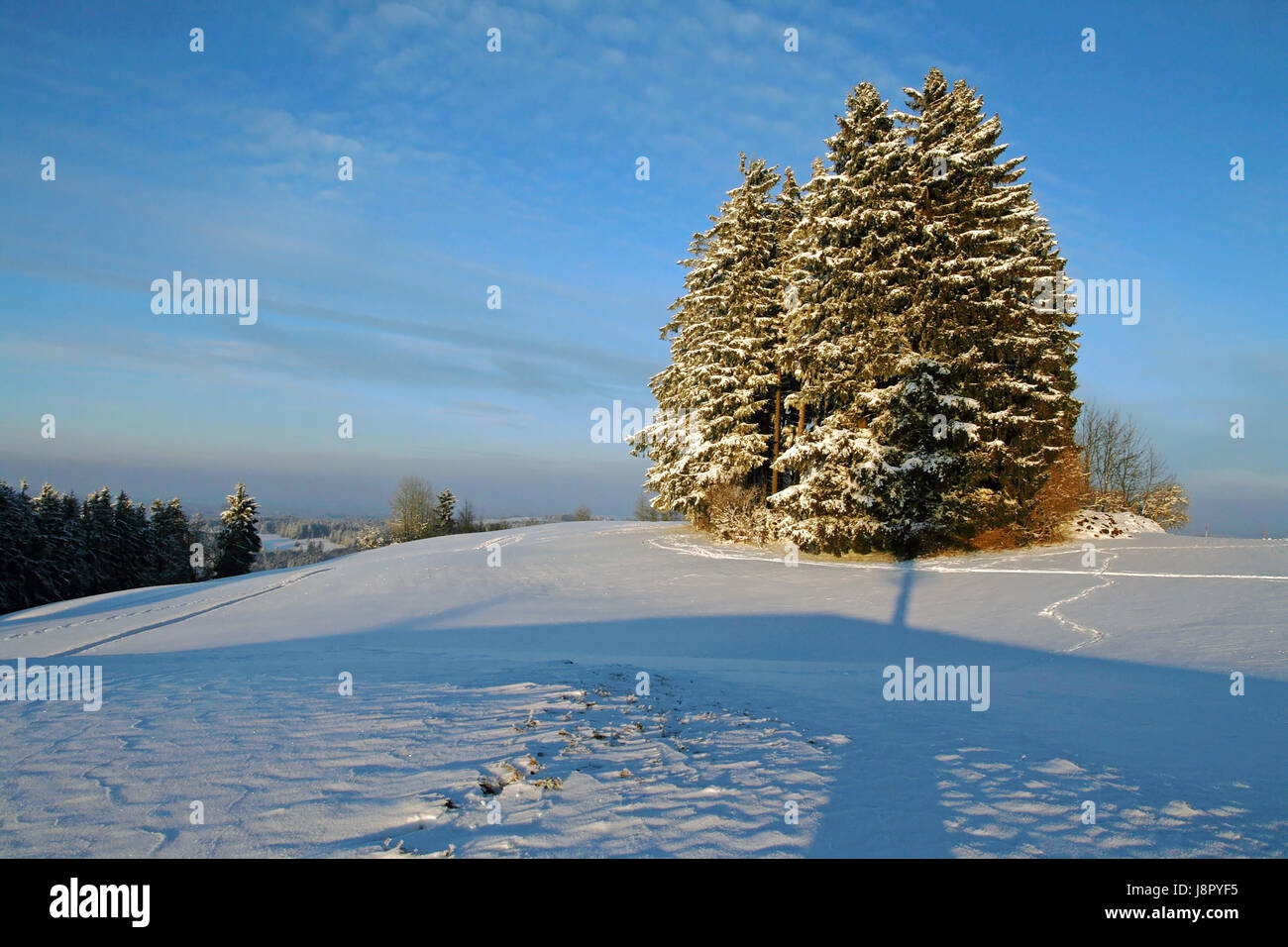 wintry evening sun Stock Photo - Alamy