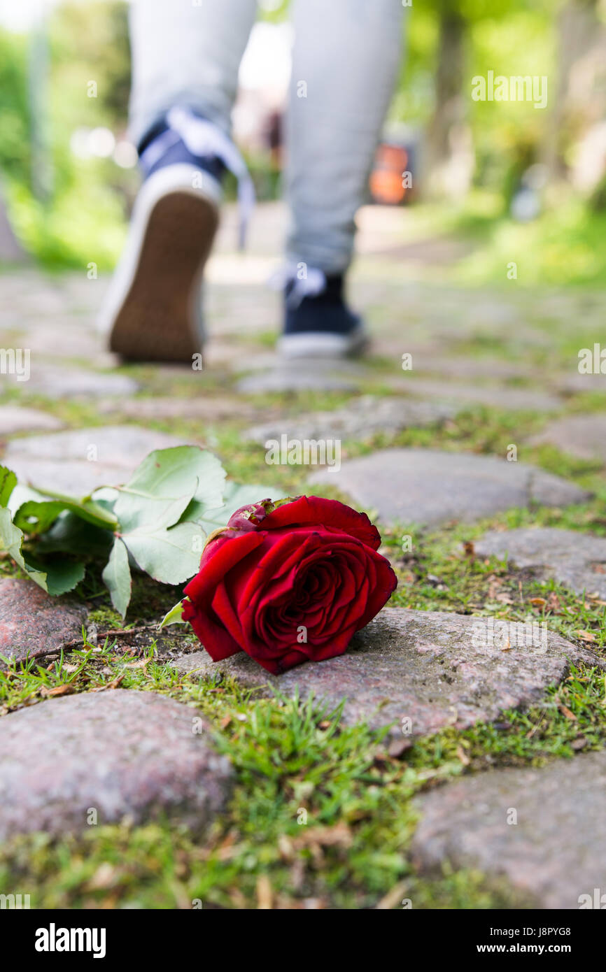 woman rejecting a rose Stock Photo - Alamy