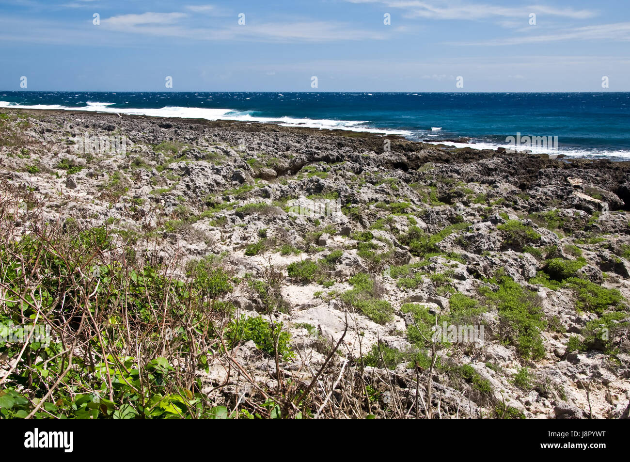 blue, beautiful, beauteously, nice, environment, enviroment, horizon ...