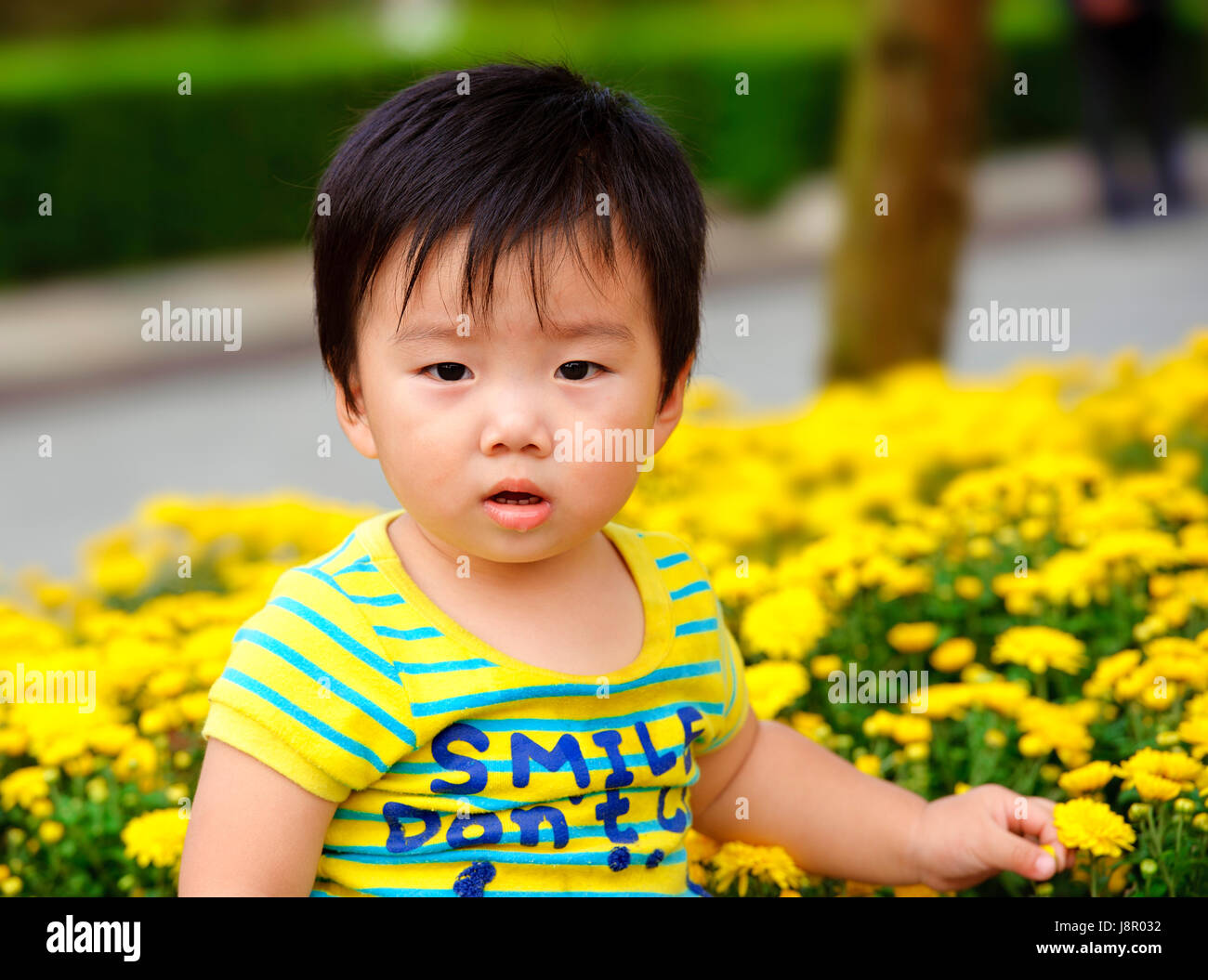 humans, human beings, people, folk, persons, human, human being, hand ...