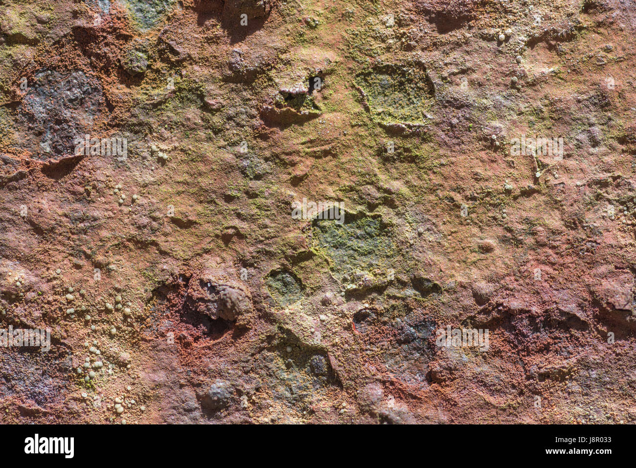 Corroding and rusting surface of an iron beam. Bumpy surface texture ...