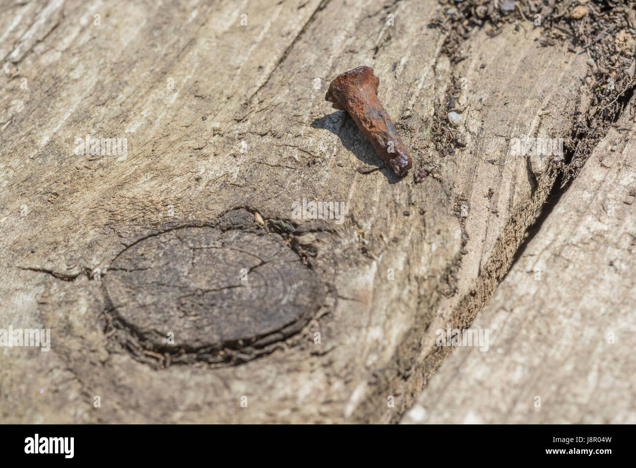Decaying a board hi-res stock photography and images - Alamy