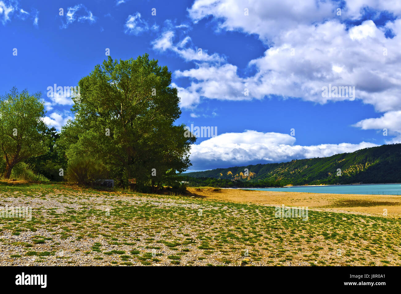 tree and lake Stock Photo - Alamy