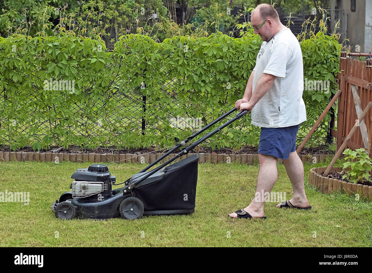 man cutting grass at suburban house Stock Photo - Alamy