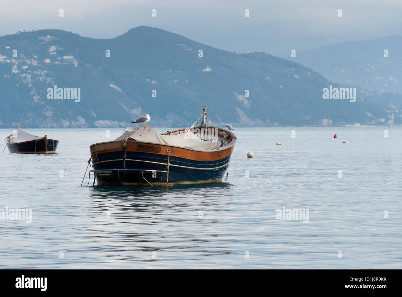 bird, reflection, boat, goiter, salt water, sea, ocean, water, italy ...
