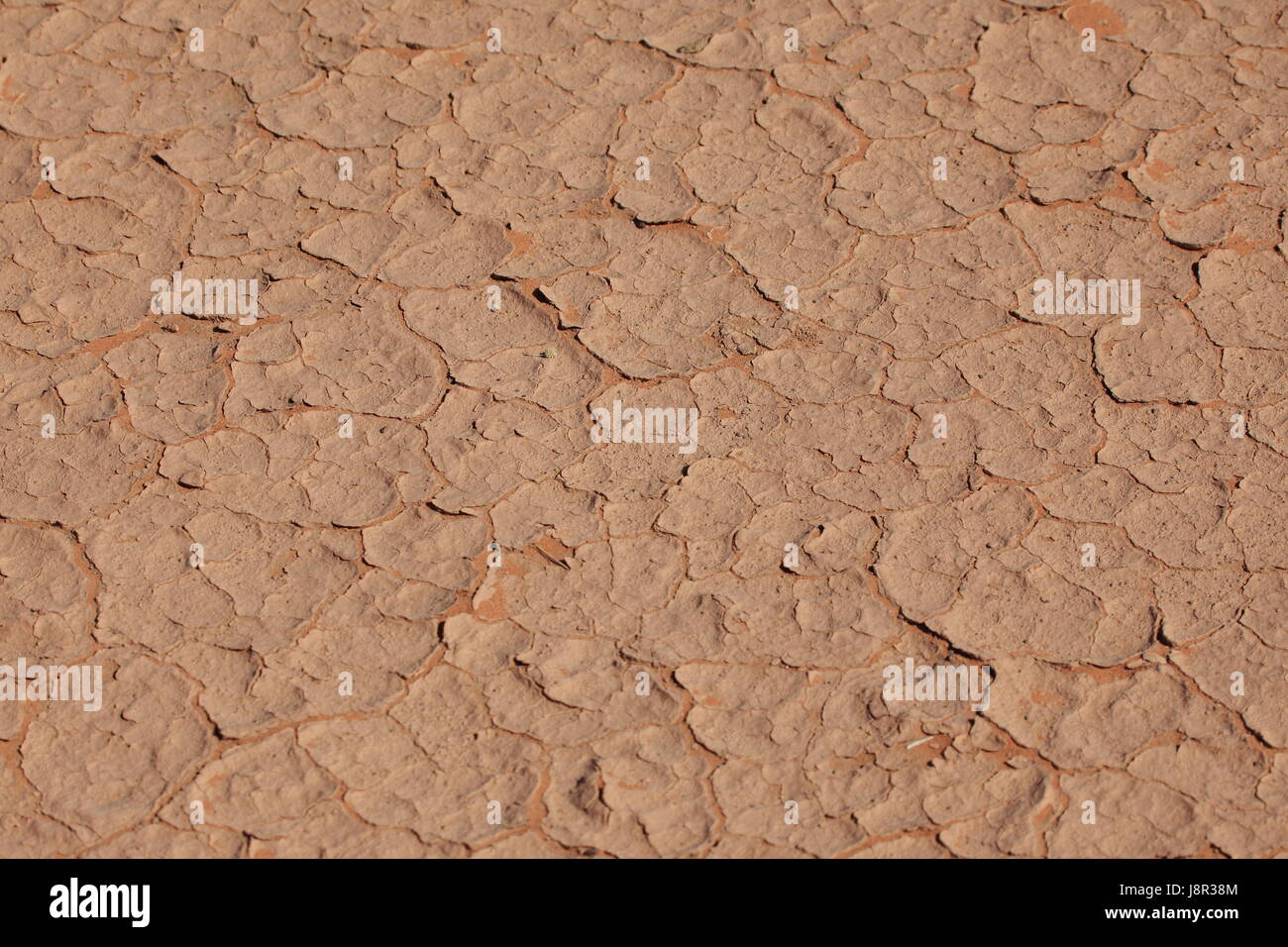 ground, soil, earth, humus, dryness, dry, dried up, barren, climate ...