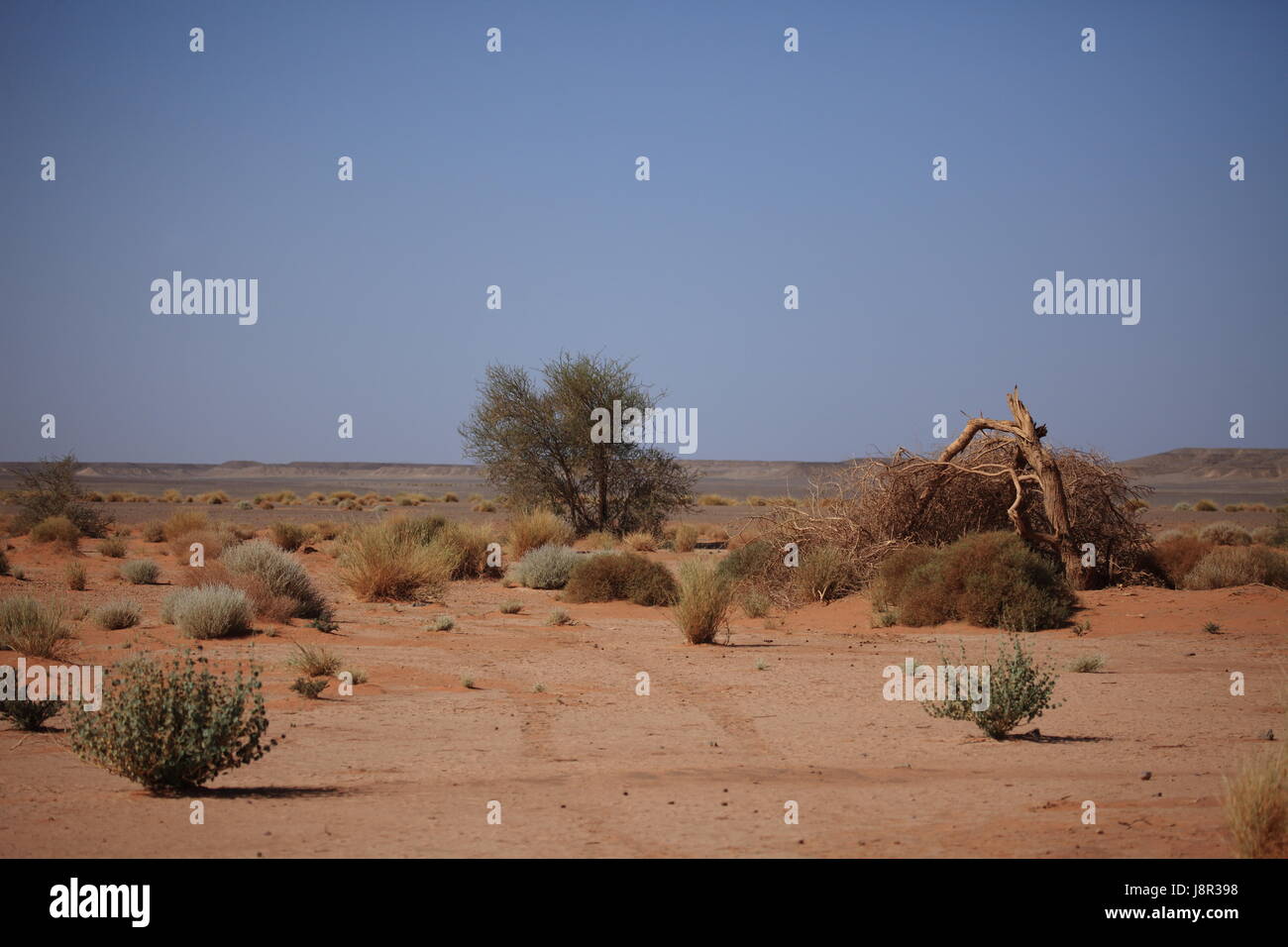 Dry soil algeria hi-res stock photography and images - Alamy