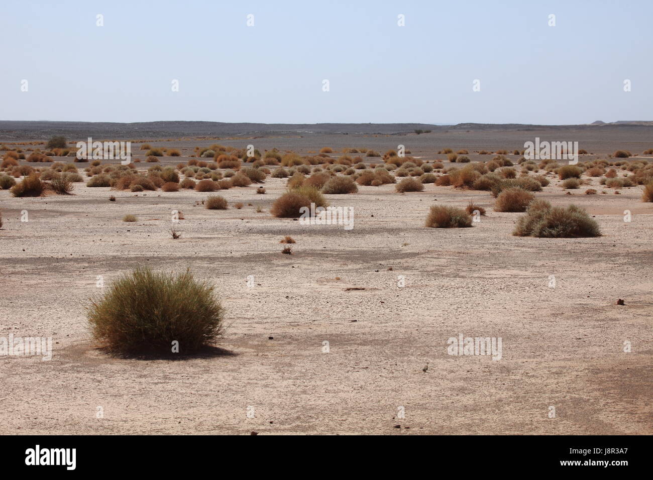 ground, soil, earth, humus, dryness, dry, dried up, barren, climate ...