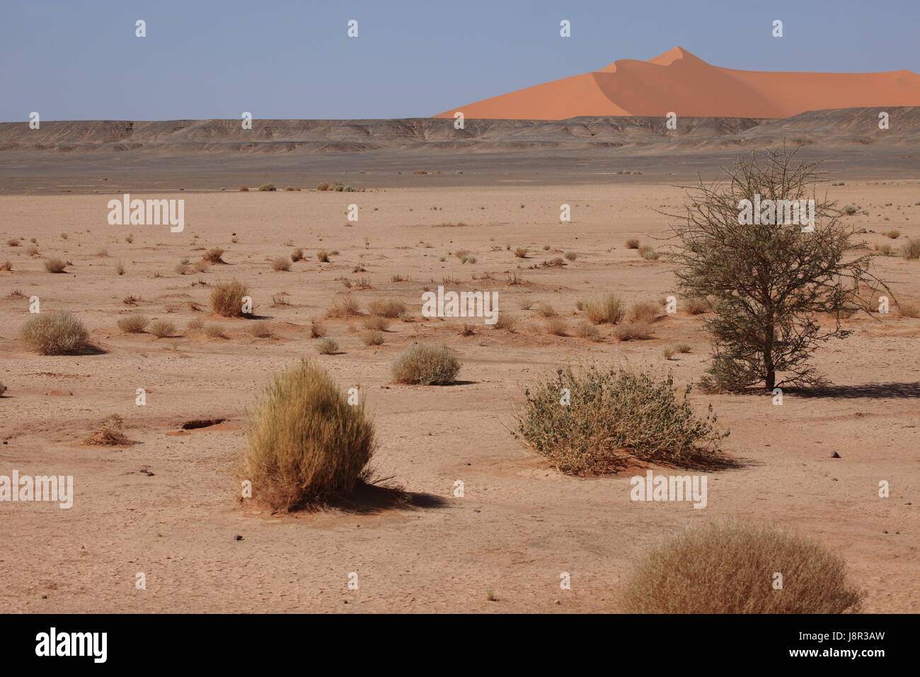 ground, soil, earth, humus, dryness, dry, dried up, barren, climate ...