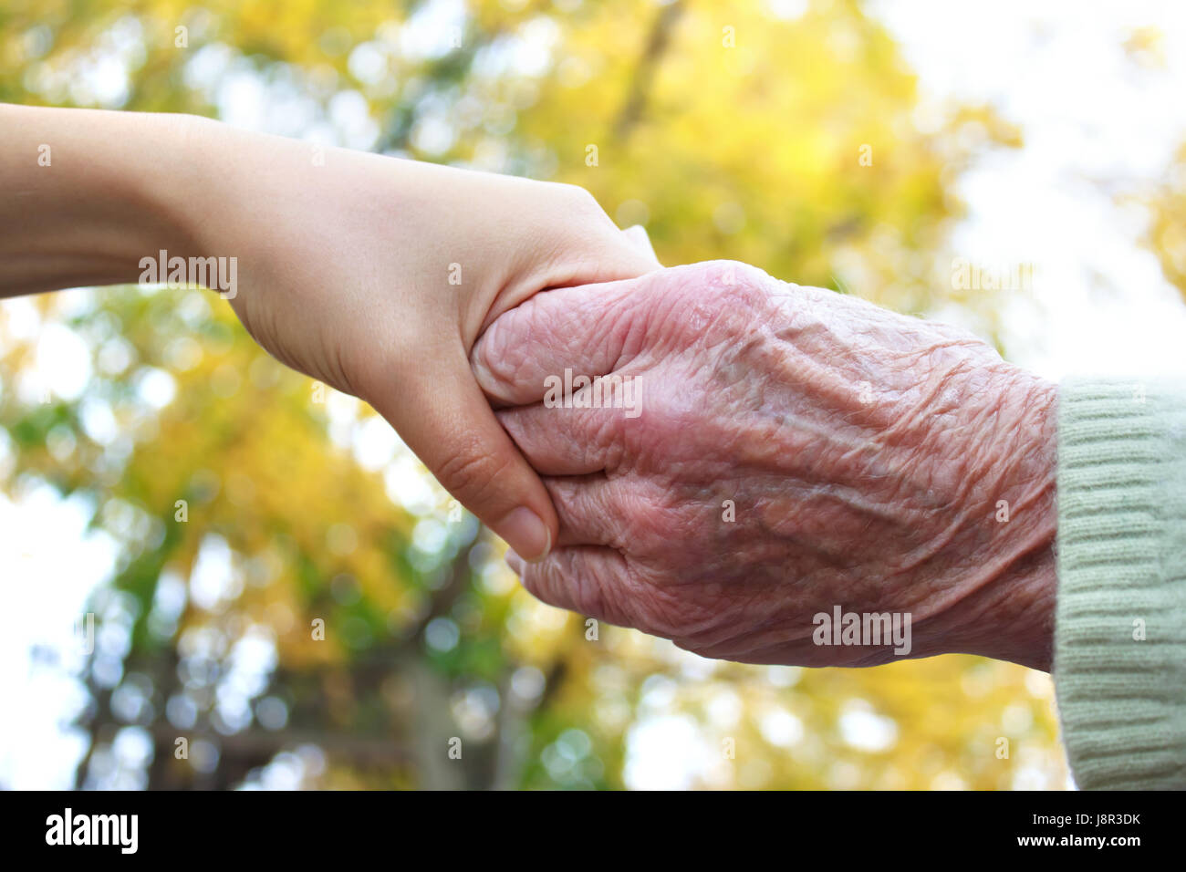 hand, hands, aging, care, eldercare, elderly care, elder care ...