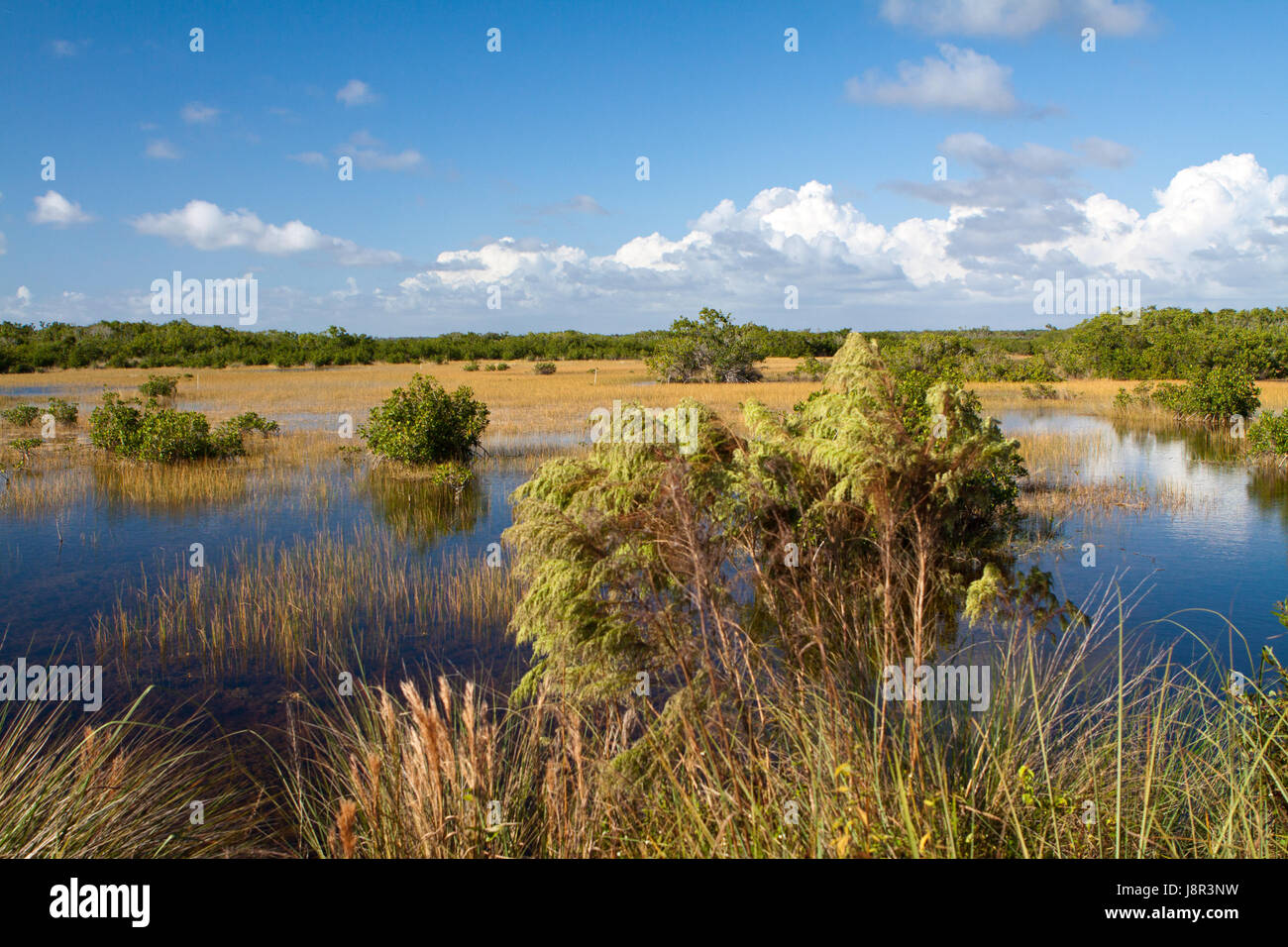usa, america, scenery, countryside, nature, usa, america, salt water ...