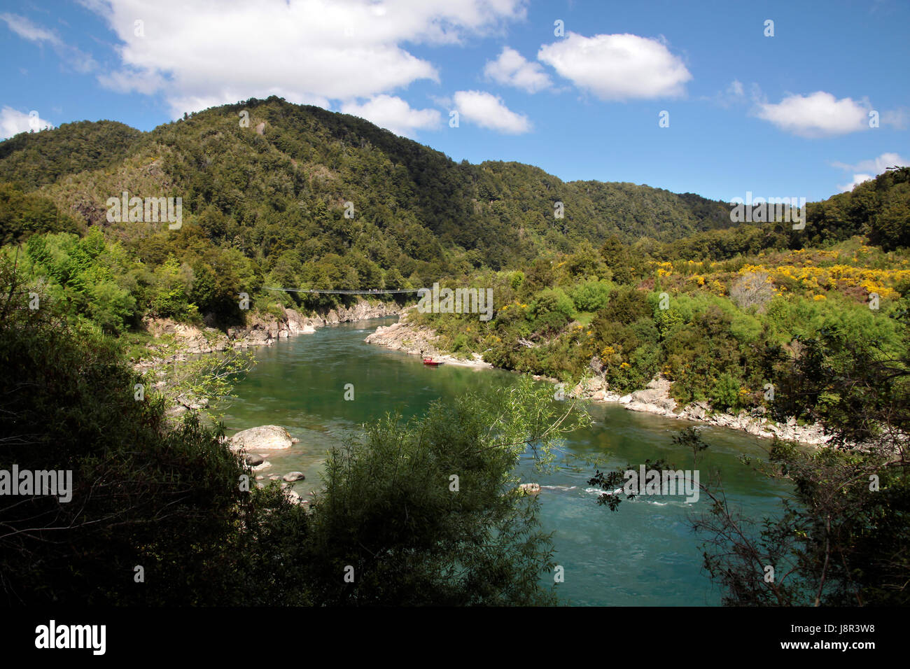 Buller hi-res stock photography and images - Alamy