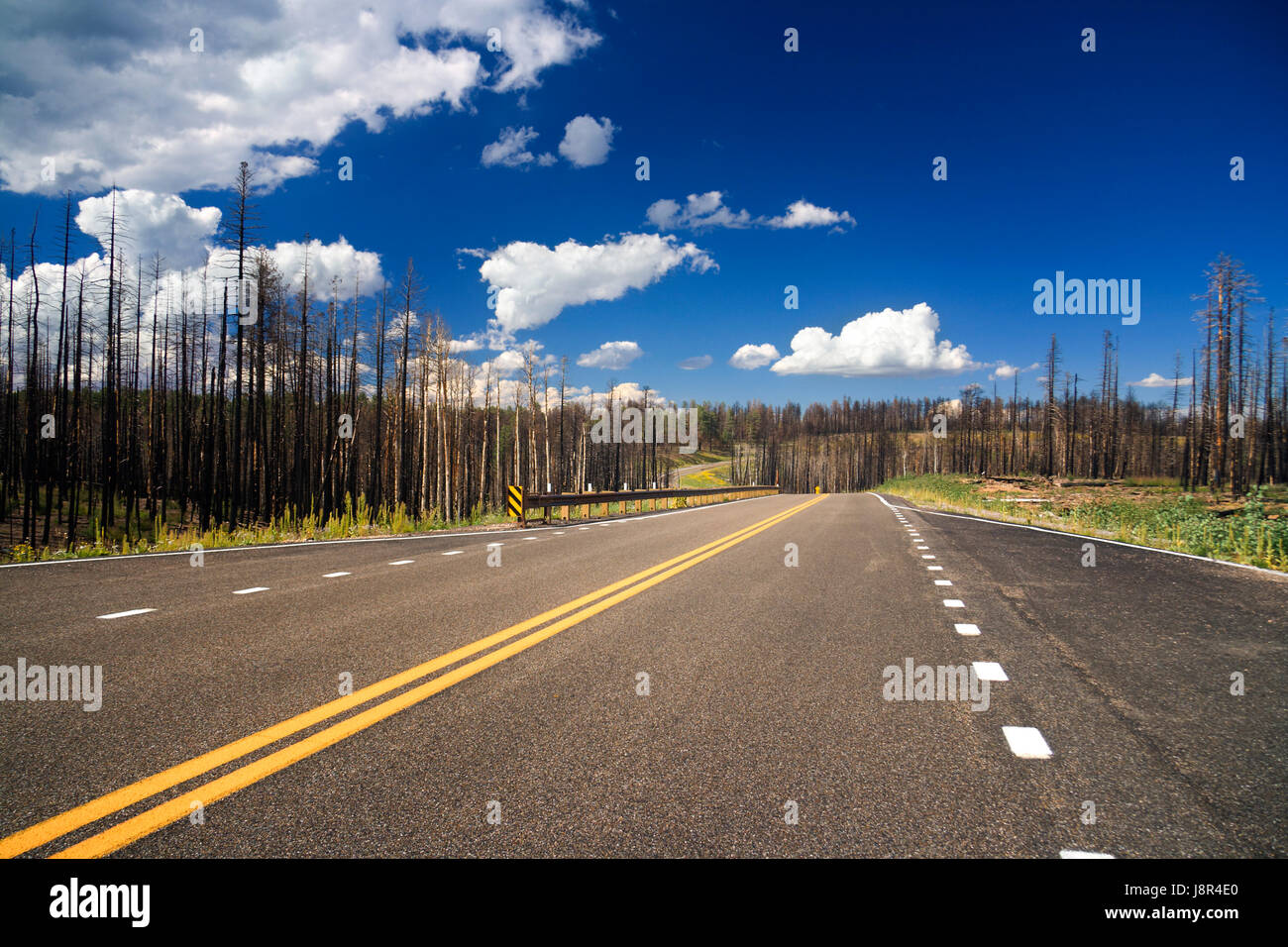 fire, conflagration, arizona, motorway, highway, disaster, burnt ...