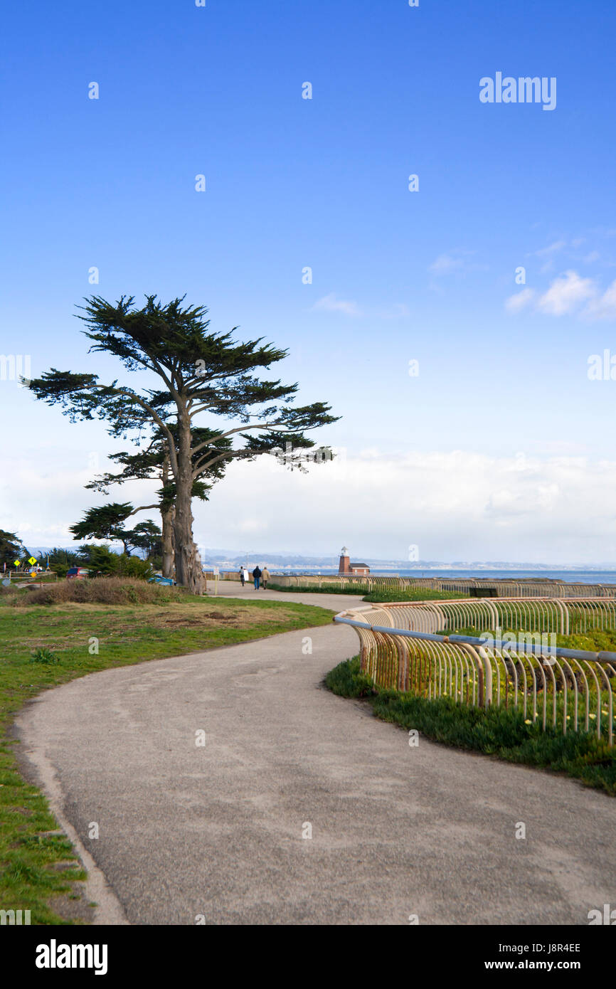 humans, human beings, people, folk, persons, human, human being, walk ...