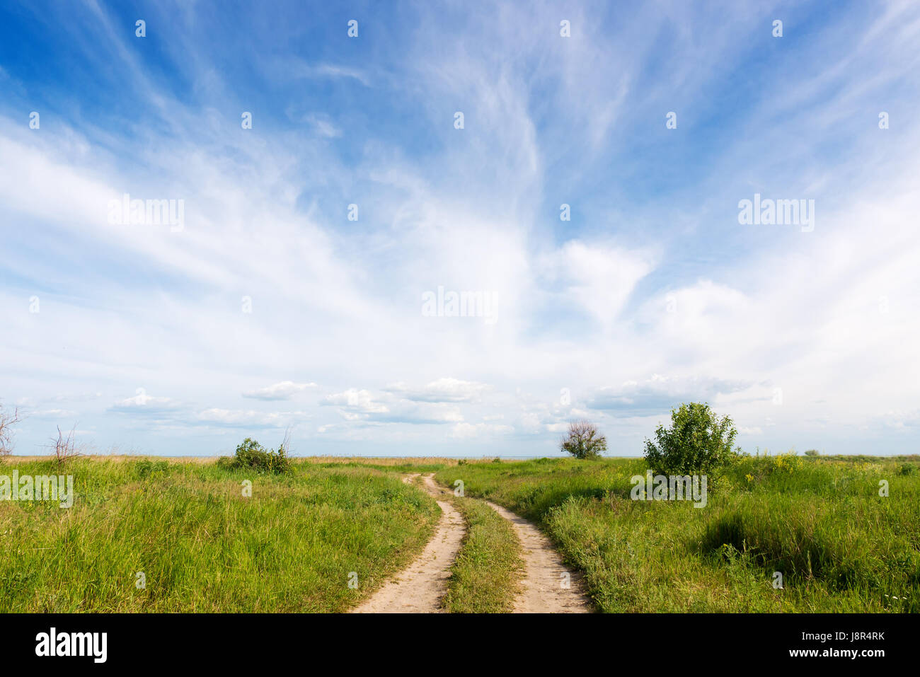 Summer landscape with country road Stock Photo - Alamy
