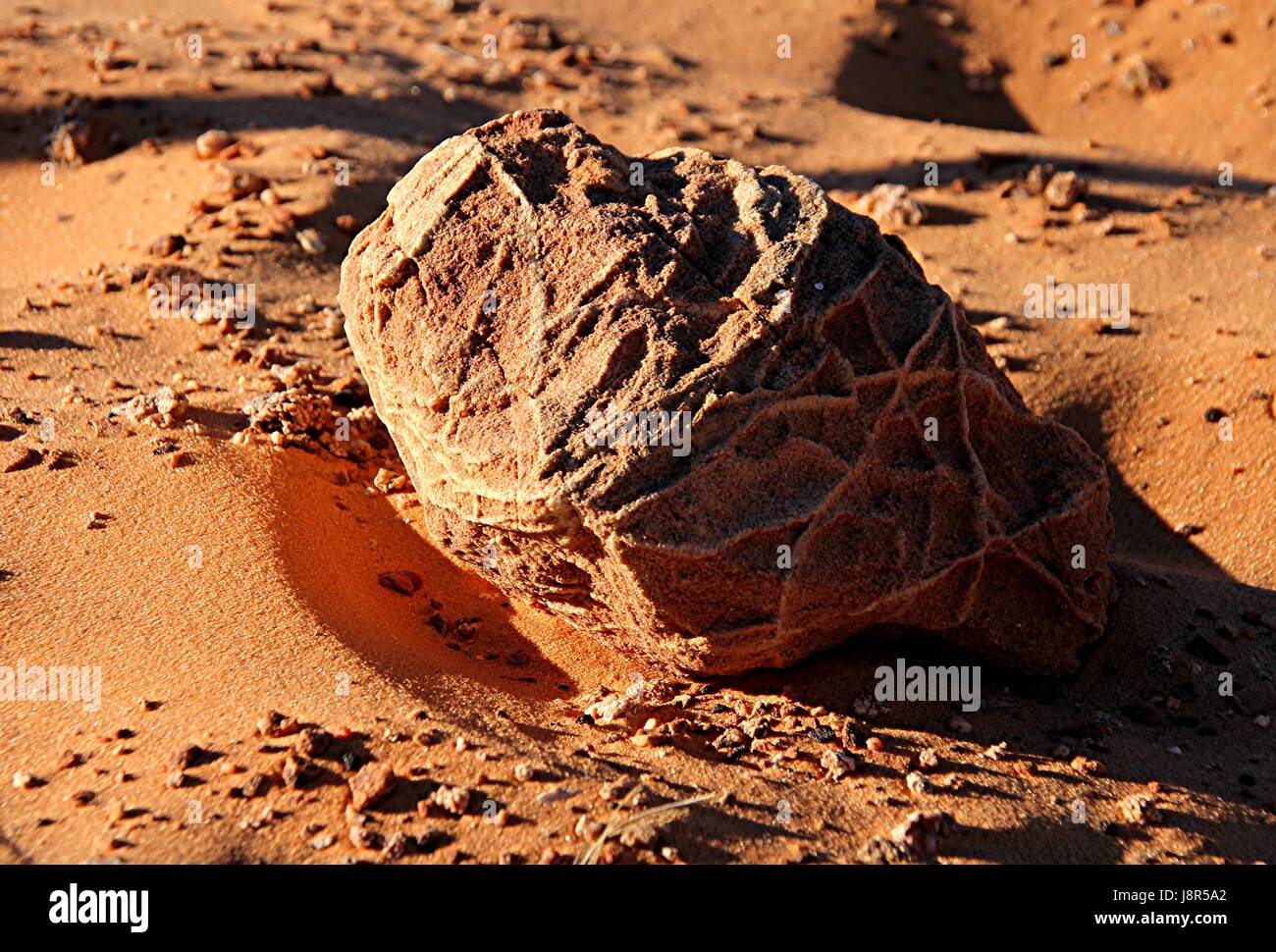 sandstone in the desert Stock Photo - Alamy