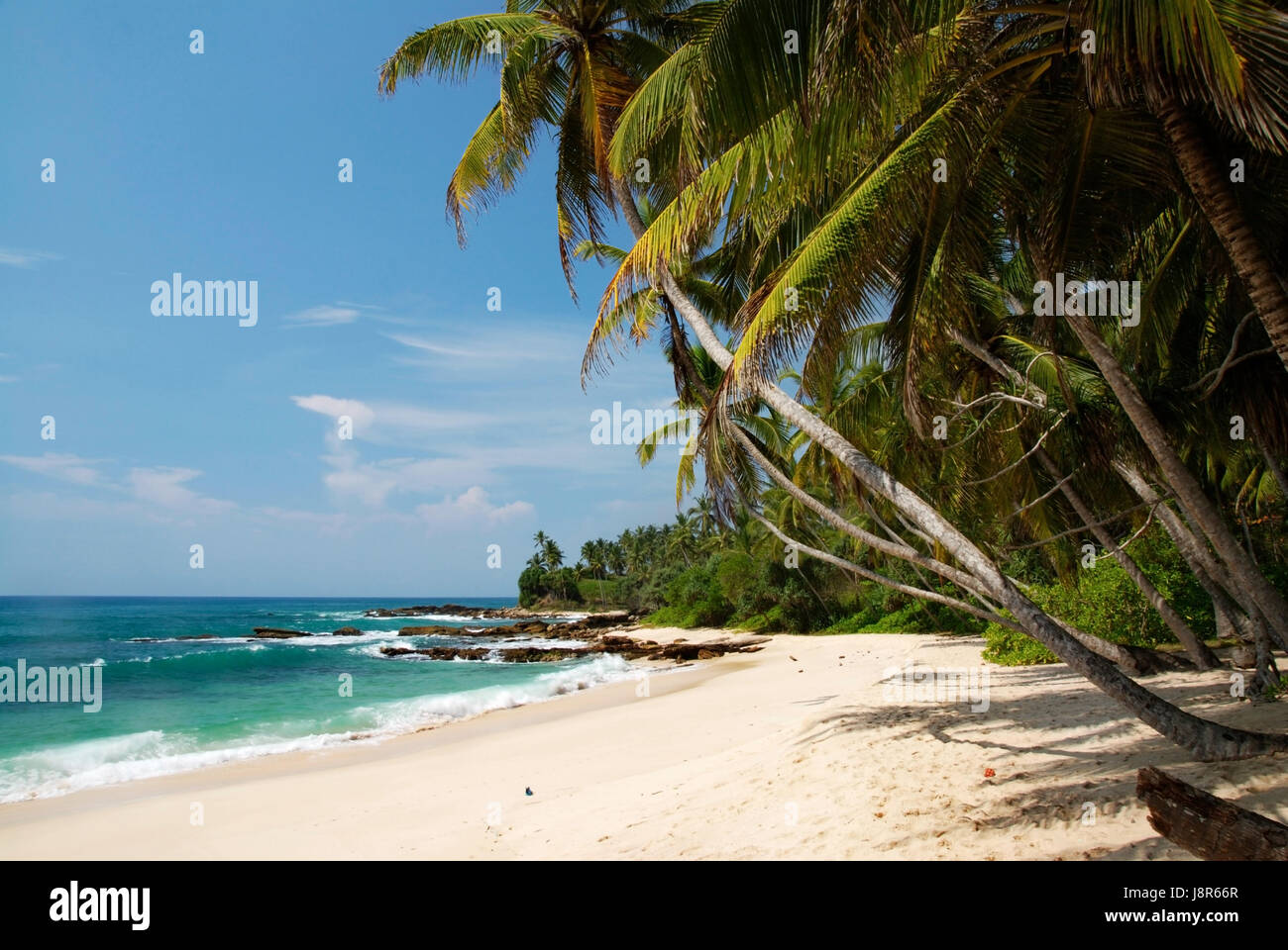 beach, seaside, the beach, seashore, landscape, scenery, countryside ...