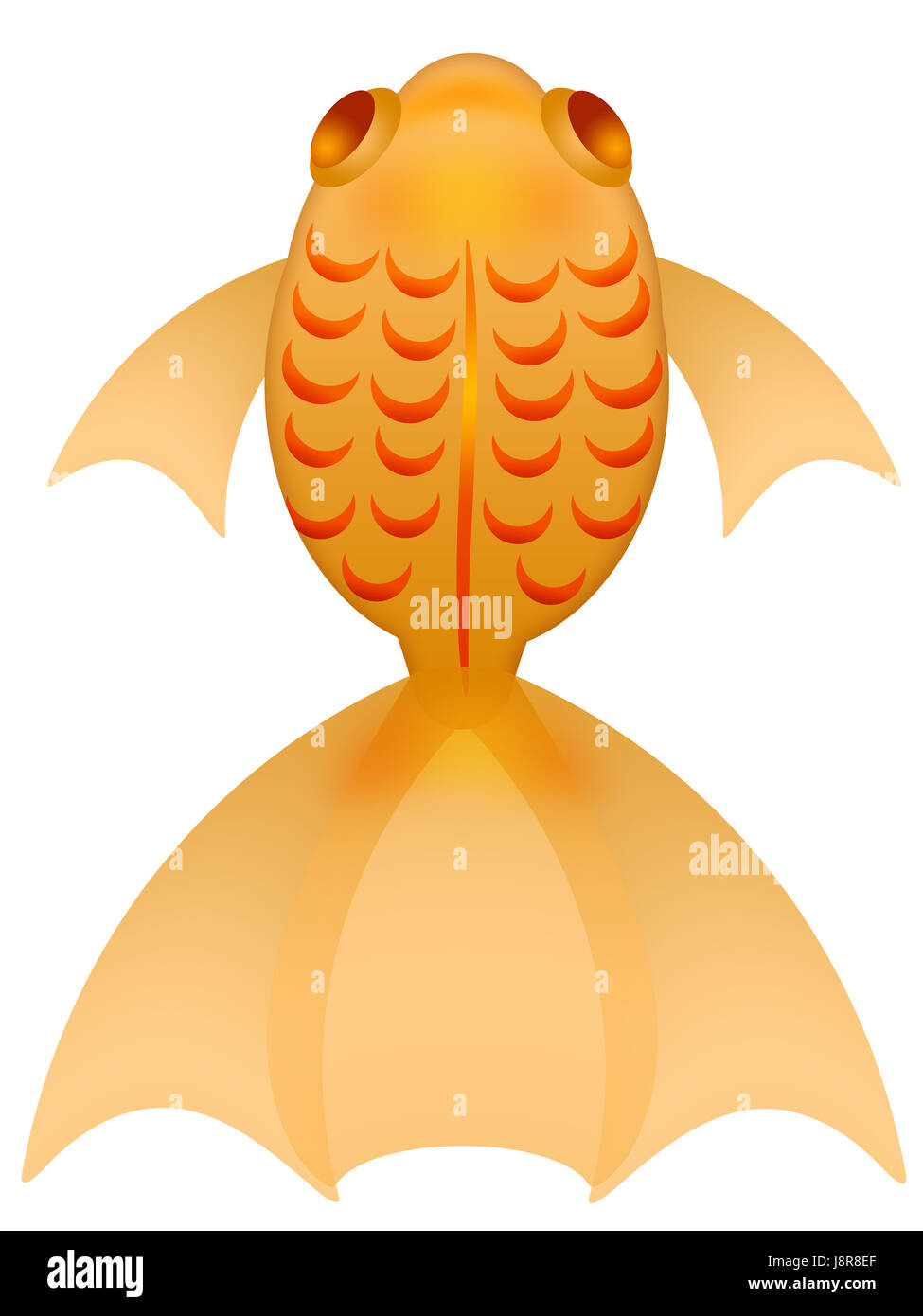 new, chinese, asian, goldfish, fancy, years, year, pictogram, symbol ...