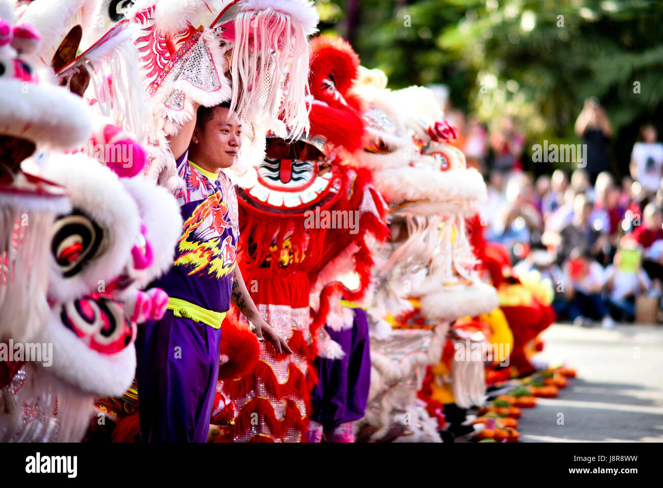 Traditional Lion Dance Stock Photo - Alamy