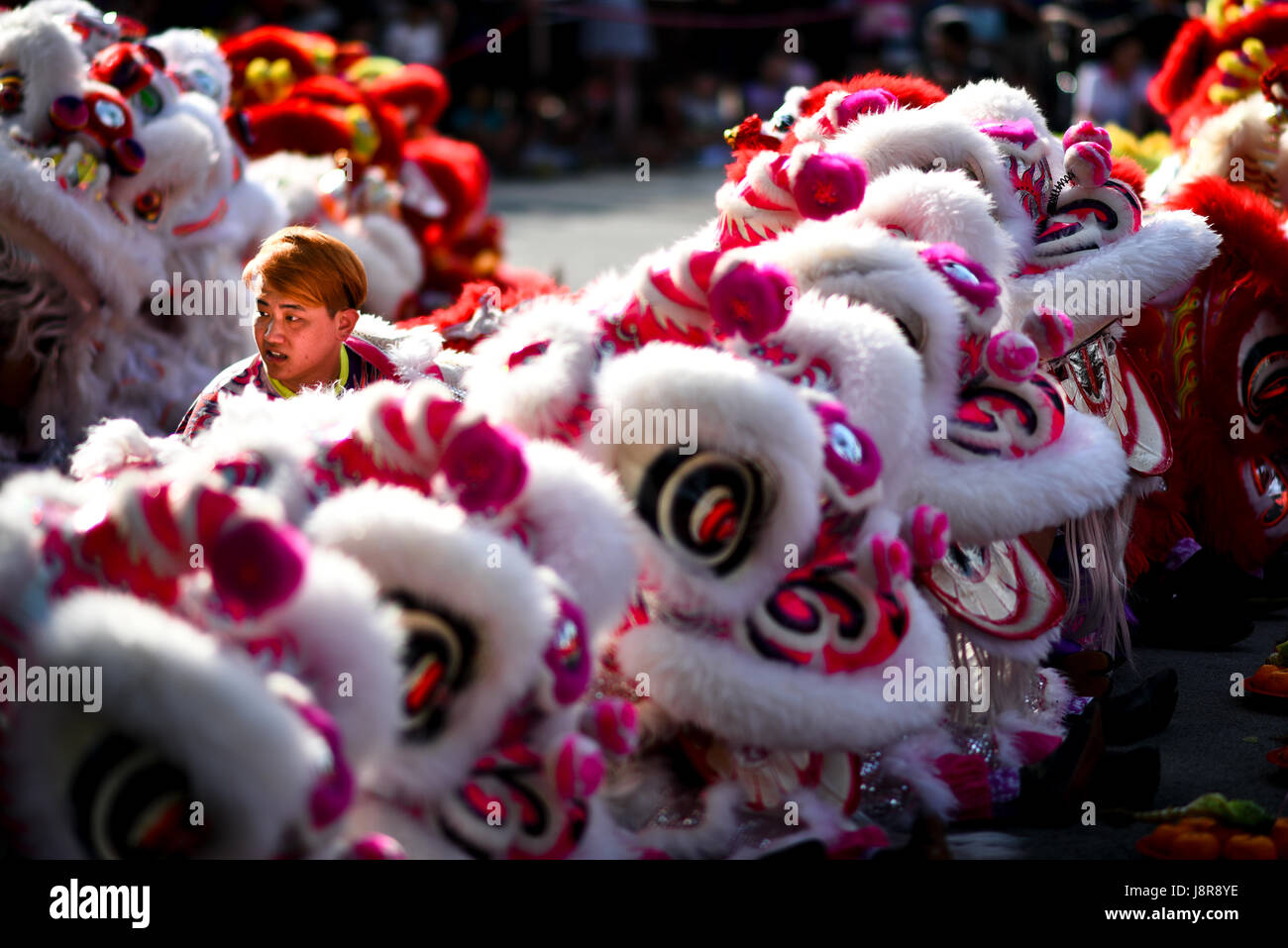 Traditional Lion Dance Stock Photo - Alamy