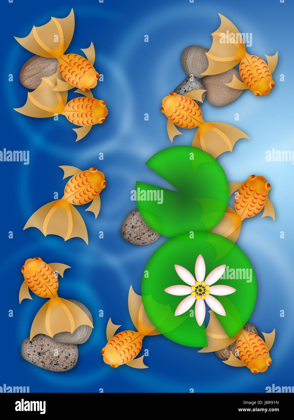 new, chinese, fresh water, pond, water, asian, goldfish, nine, fancy ...