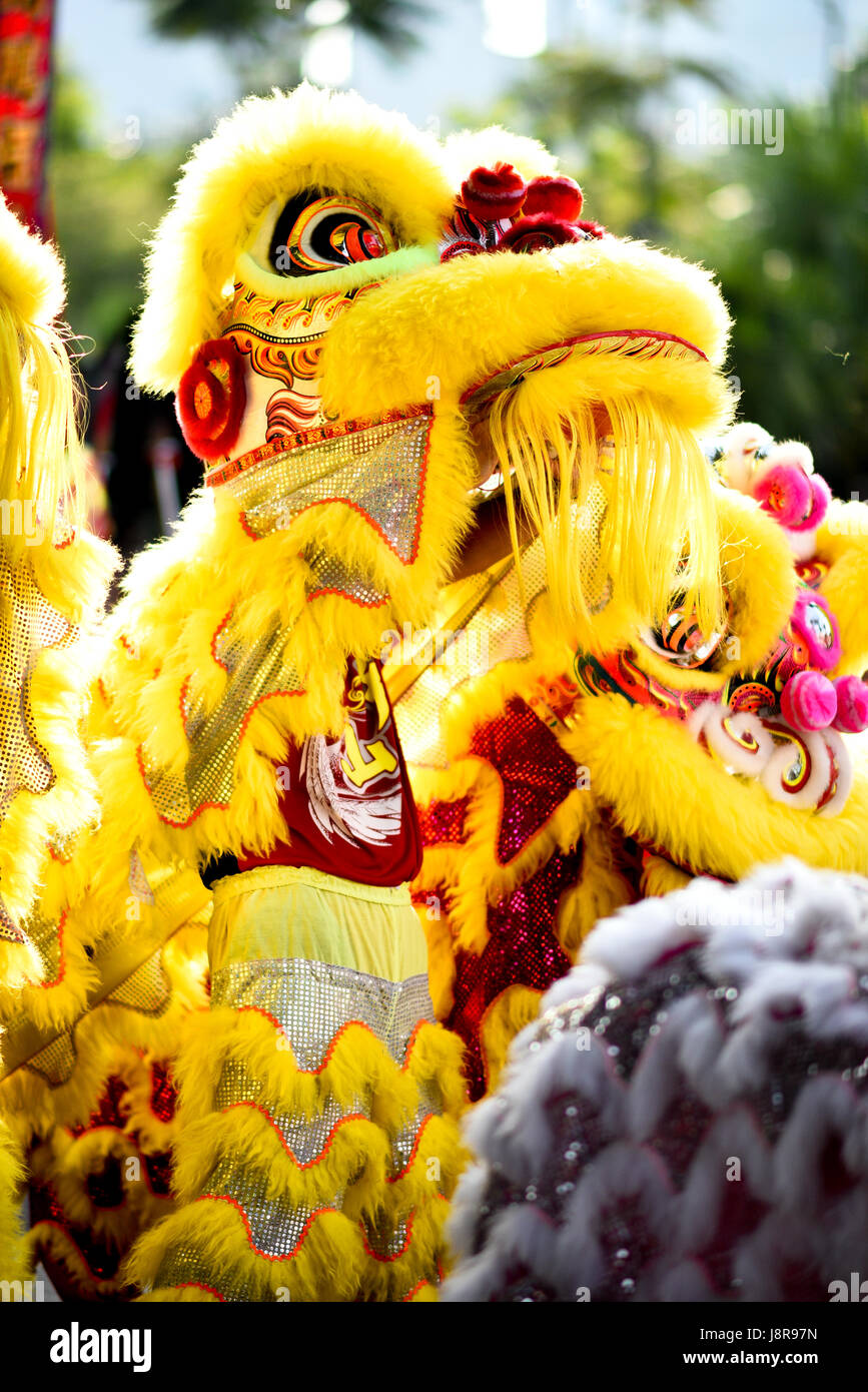 Traditional Lion Dance Stock Photo - Alamy