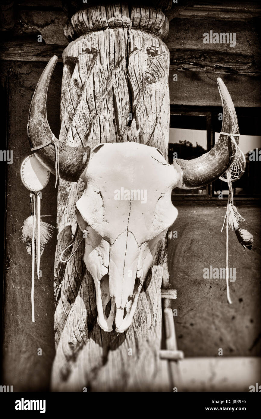 skull, community, horns, southwest, pueblo, village, market town ...