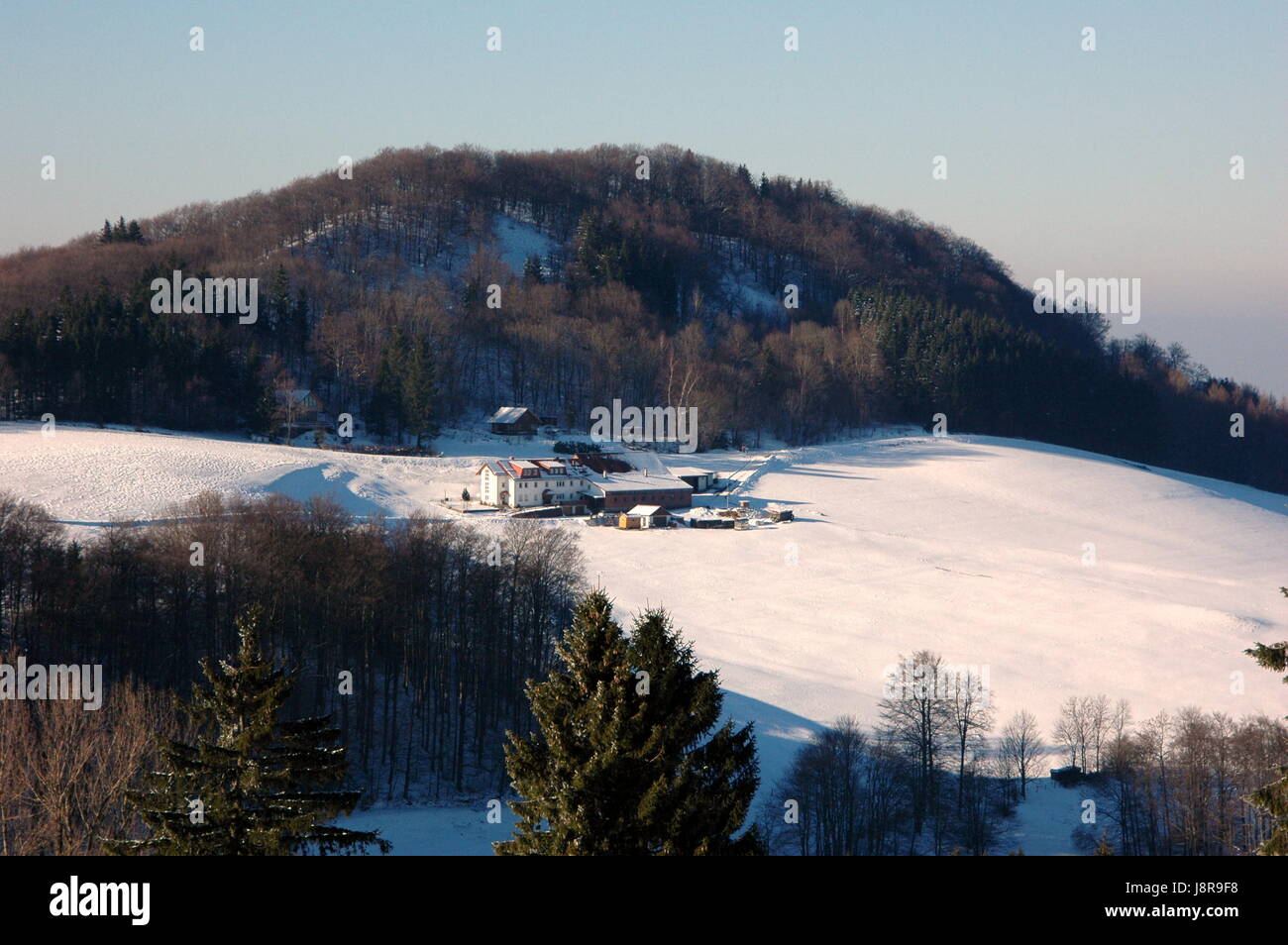 winter in the rhn Stock Photo - Alamy