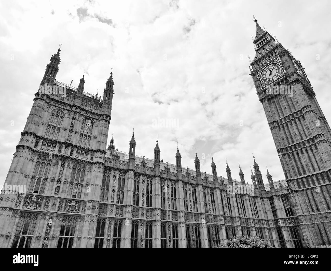 big, large, enormous, extreme, powerful, imposing, immense, relevant ...