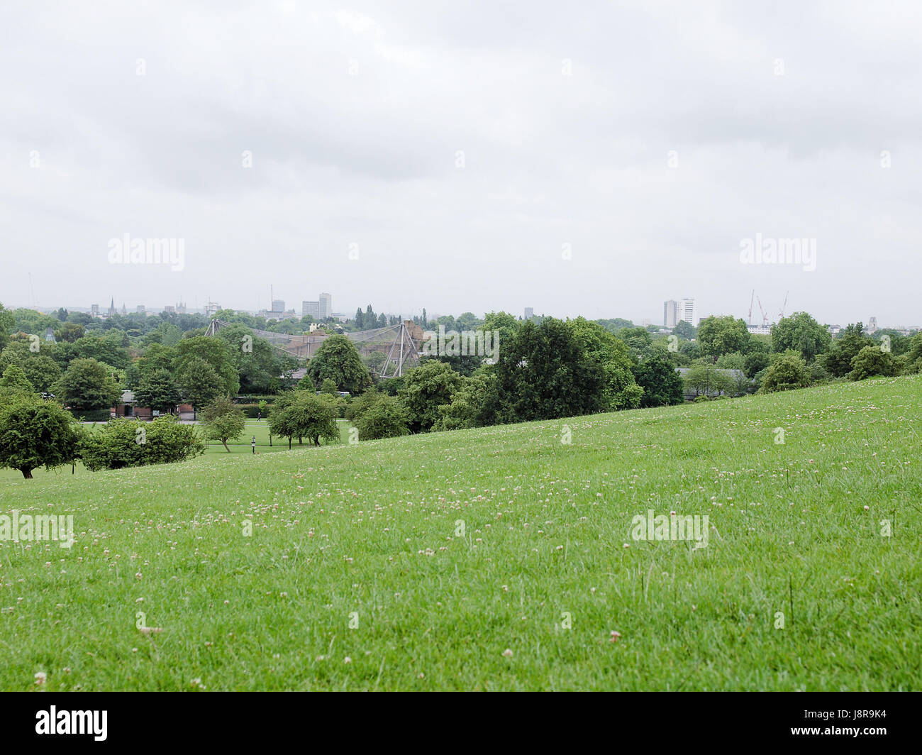 blue, europe, england, british, britain, english, meadow, grass, lawn ...