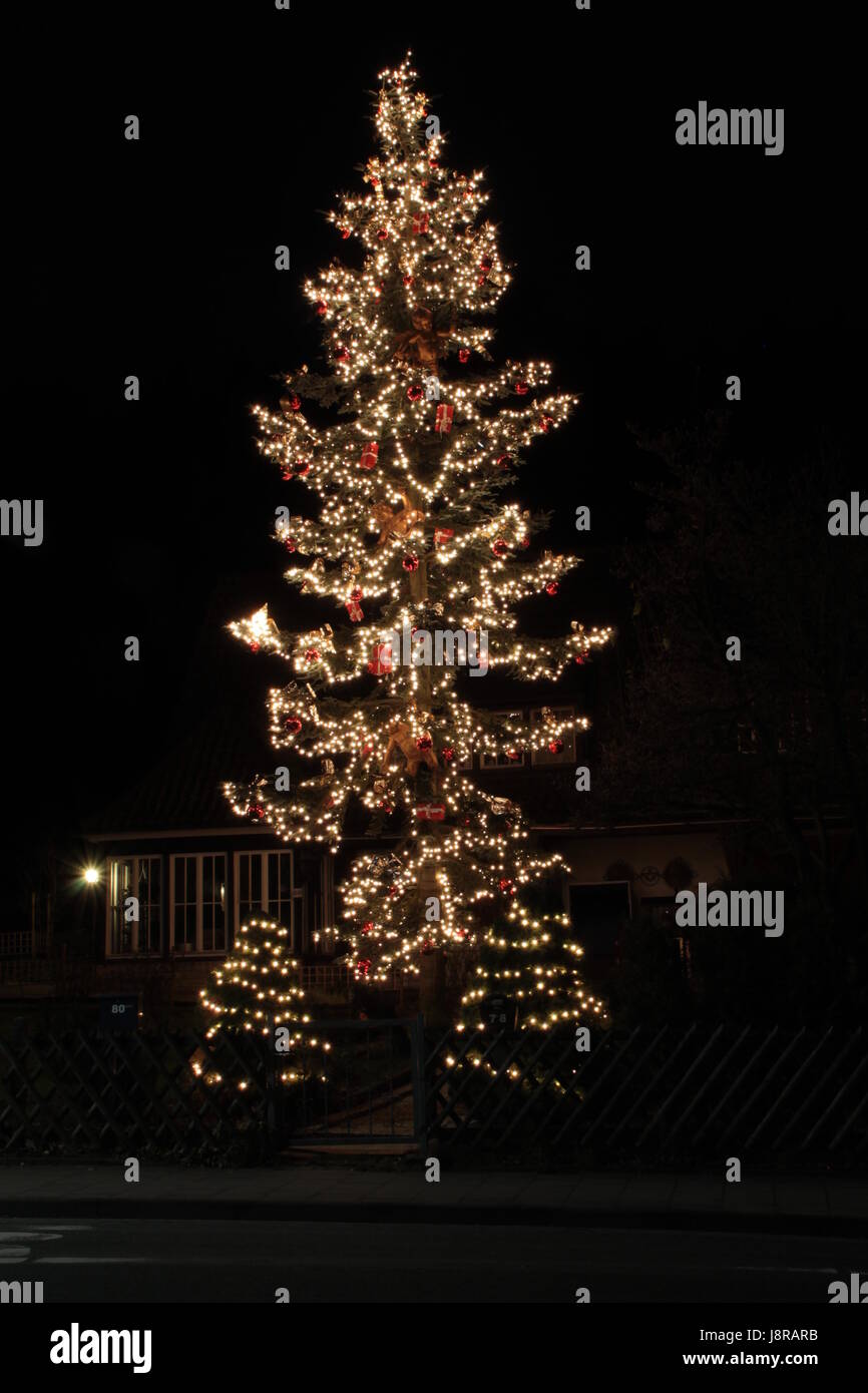 shine, shines, bright, lucent, light, serene, luminous, tree, lighted ...